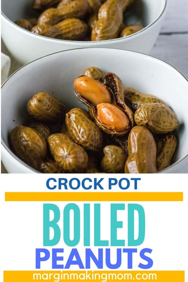 Easy Crock Pot Boiled Peanuts - Margin Making Mom®
