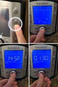 Ultimate Beginner's Guide to the Instant Pot Sous Vide Function ...