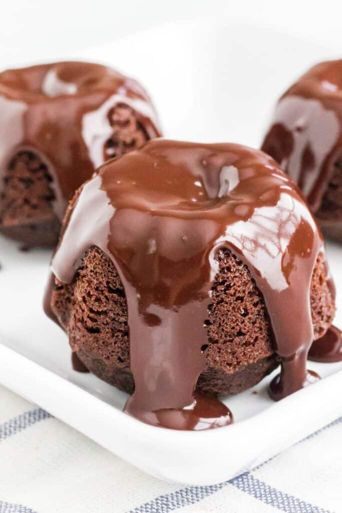 Easy & Decadent Mini Chocolate Bundt Cakes - Margin Making Mom®