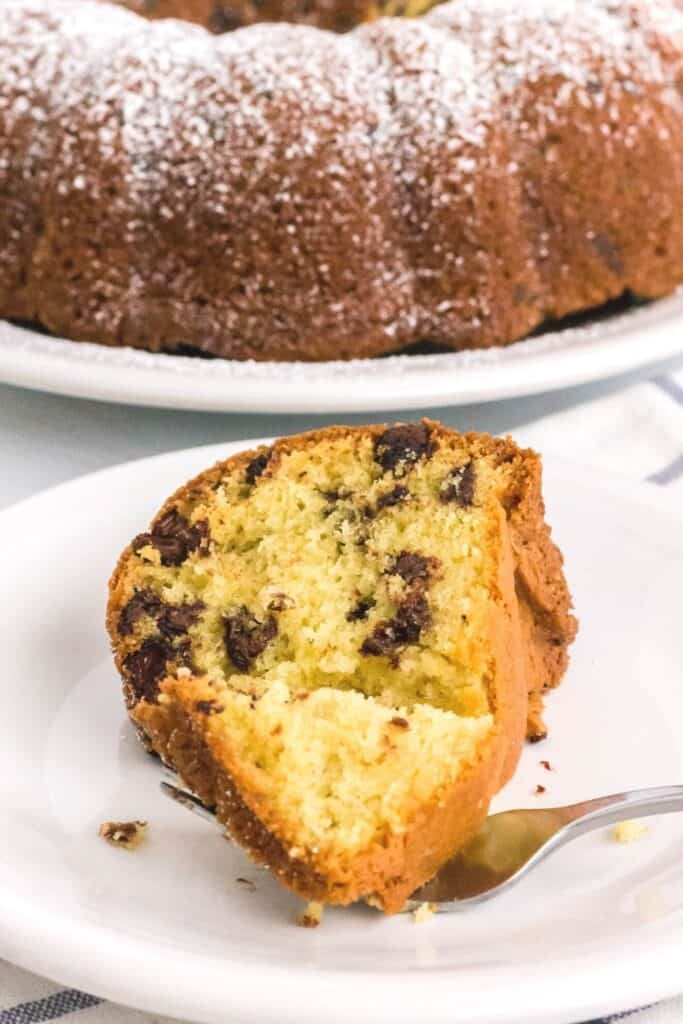Easy Homemade Chocolate Chip Cake - Margin Making Mom®