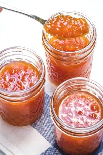 The Best Instant Pot Jam Recipes - Margin Making Mom®