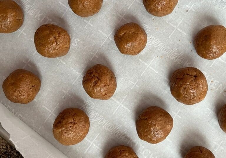 Easy No-Bake Biscoff Truffles - Margin Making Mom®