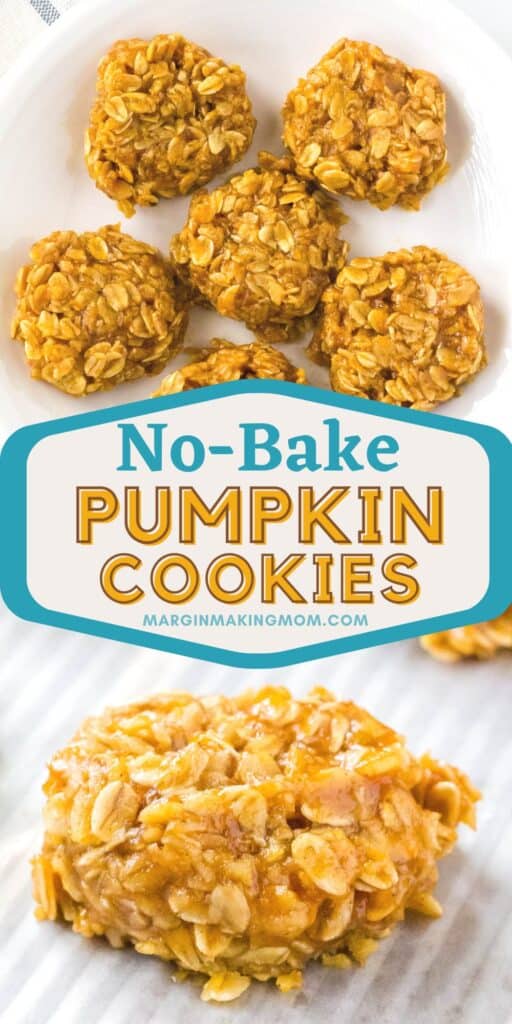 Easy No Bake Pumpkin Oatmeal Cookies - Margin Making Mom®