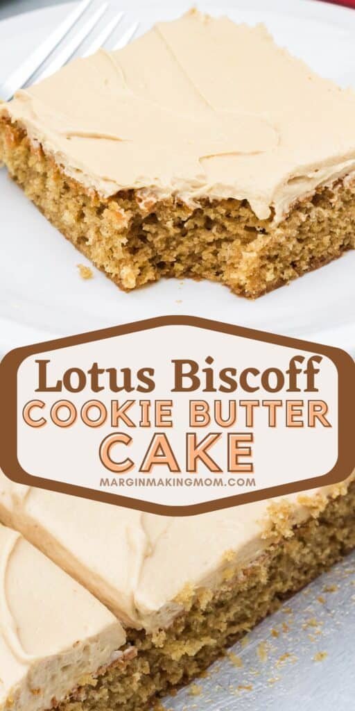Easy Biscoff Cake with Cookie Butter Frosting - Margin Making Mom®