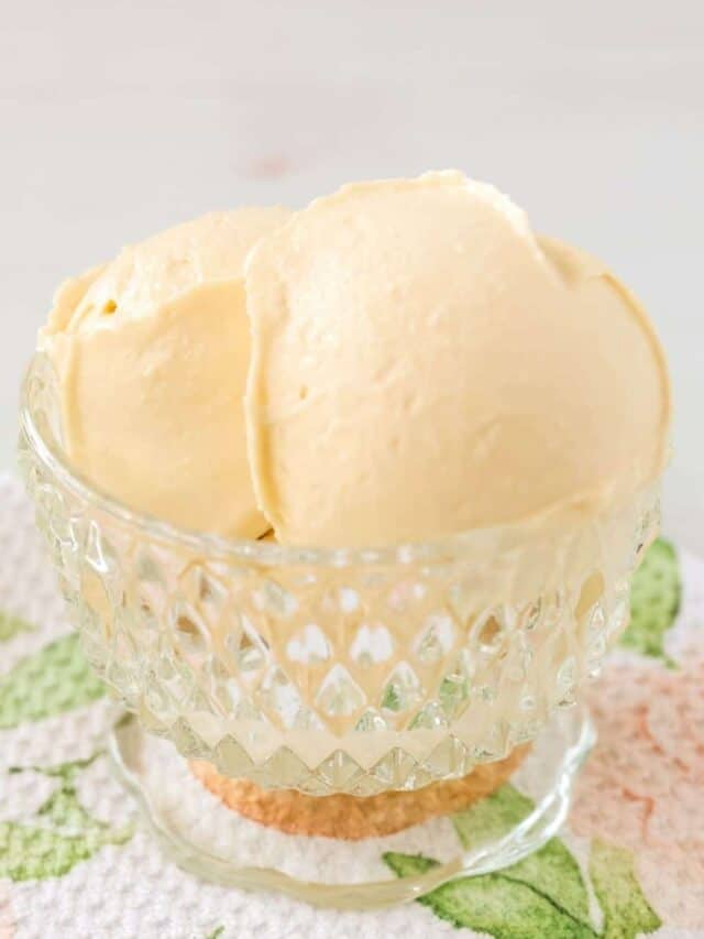 Ninja Creami Vanilla Gelato Story - Margin Making Mom®