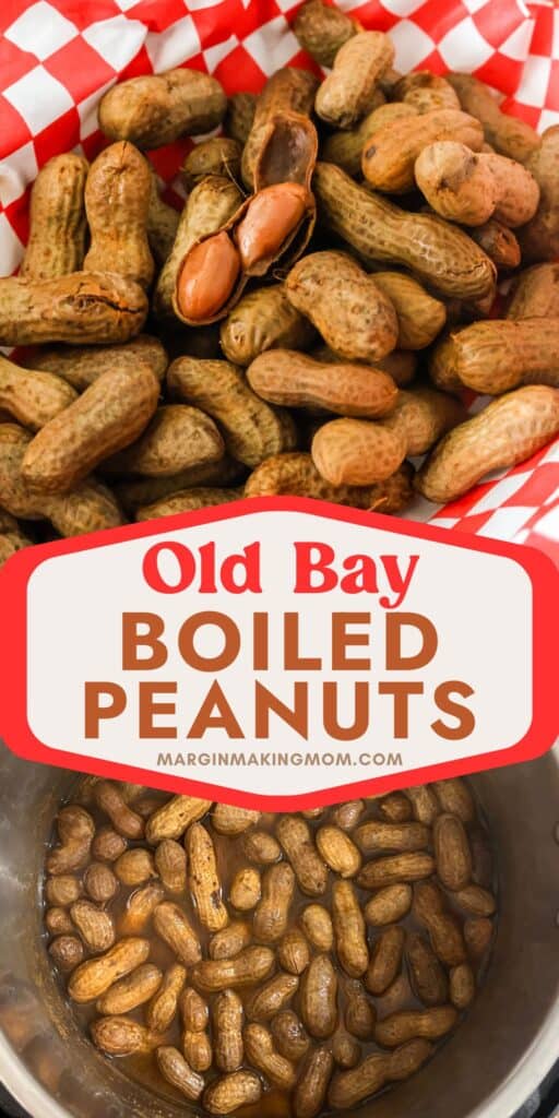 Old Bay Boiled Peanuts (Instant Pot or Slow Cooker) - Margin Making Mom®