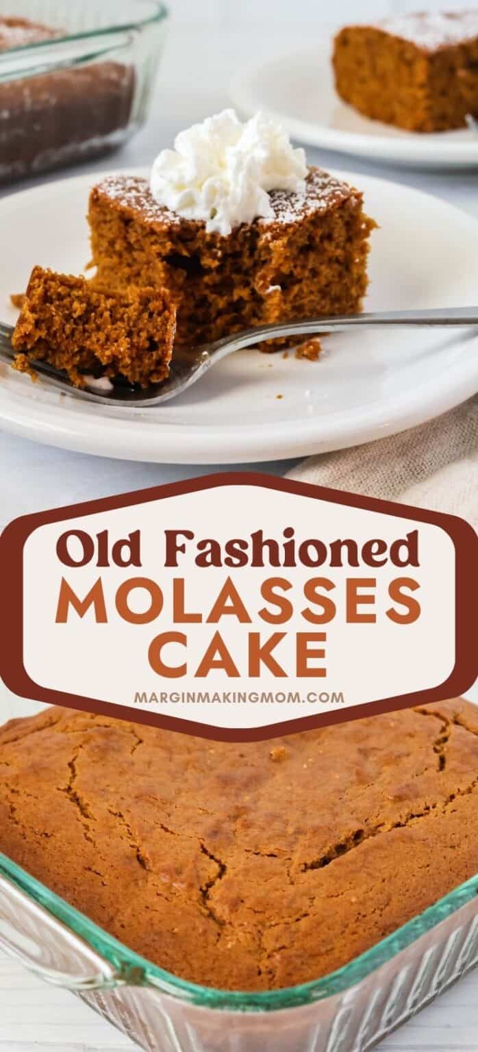 Easy Old-Fashioned Molasses Cake - Margin Making Mom®